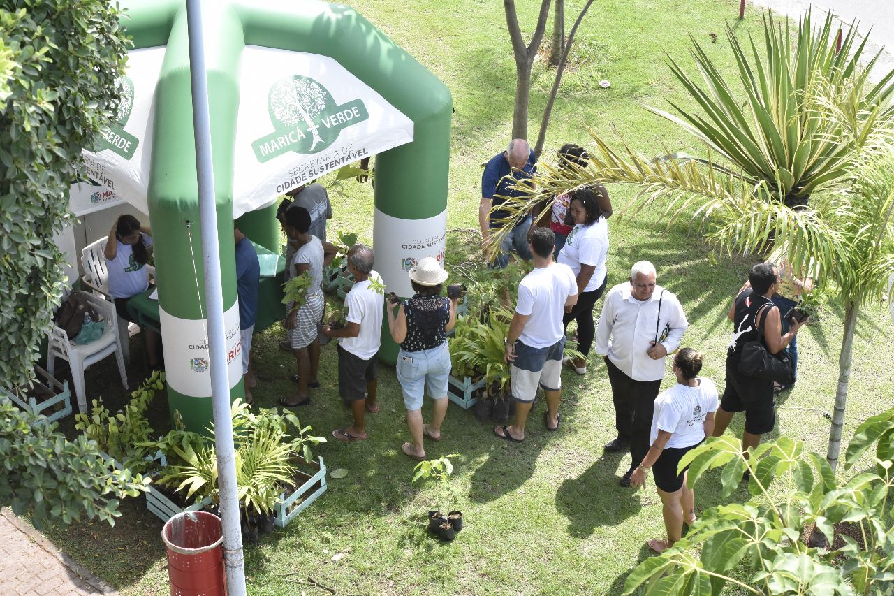 Maricá+Verde distribui 100 mudas nativas da Mata Atlântica no Caxito ...